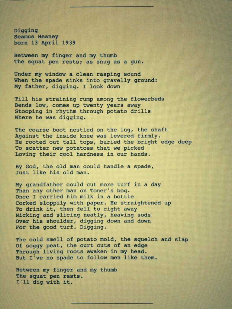 Essays on "Digging" - Book Summary & Free Paper Examples