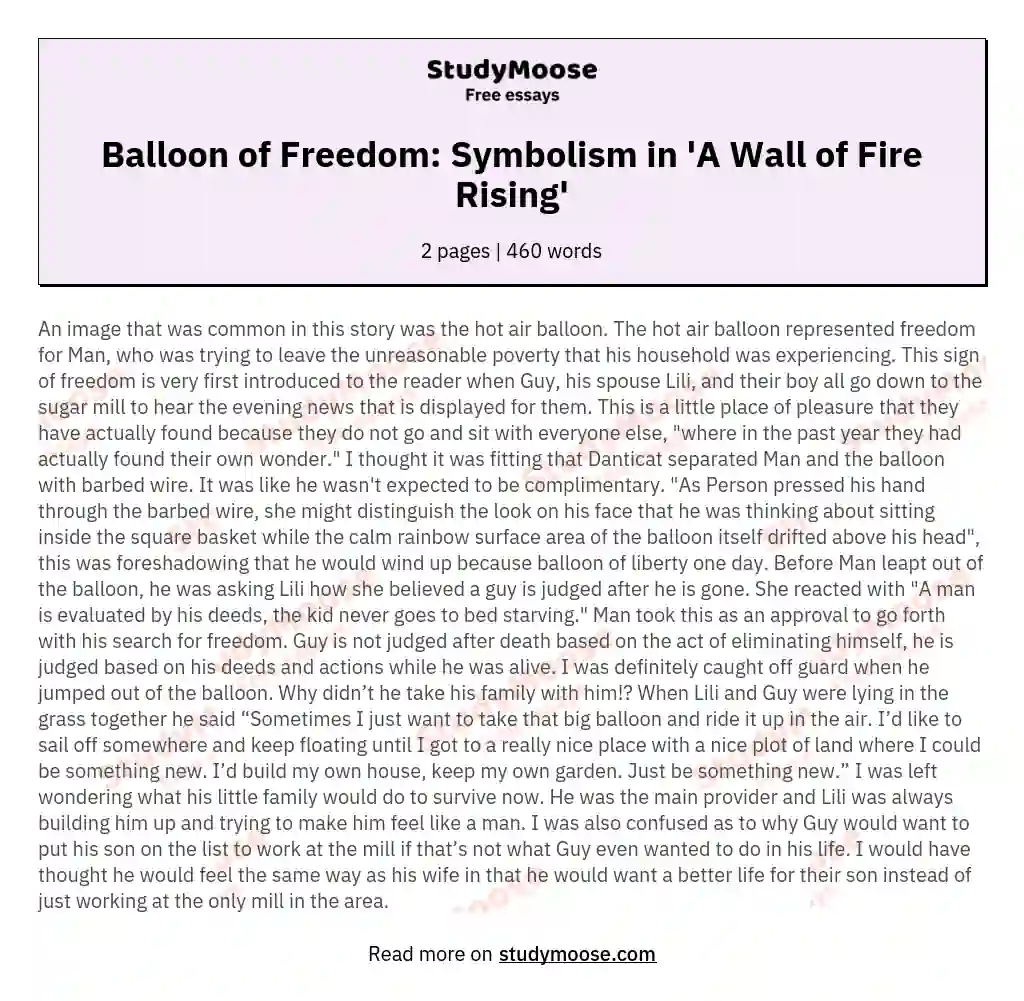 A Wall Of Fire Rising Free Essay Example
