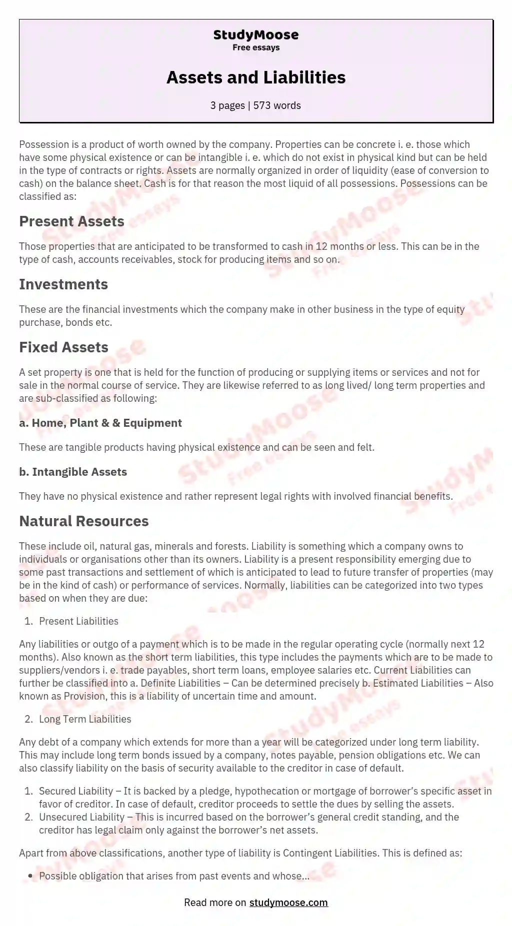 Assets And Liabilities Free Essay Example
