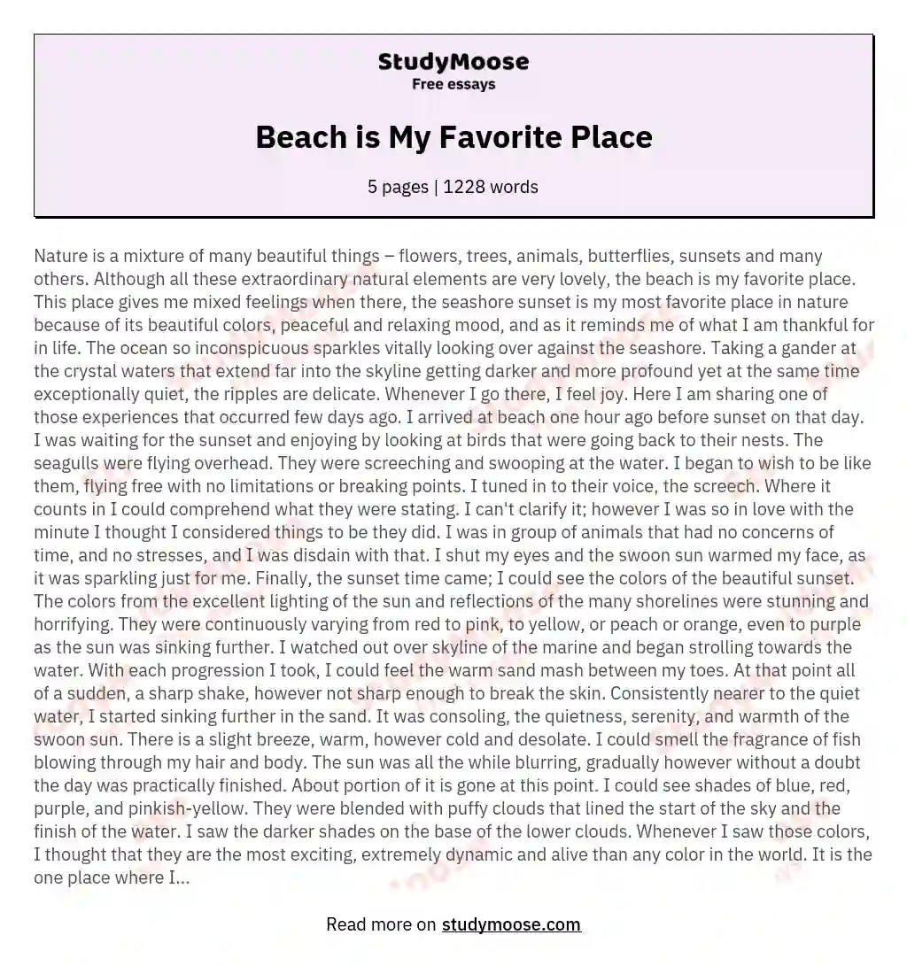 Beach Is My Favorite Place Free Essay Example