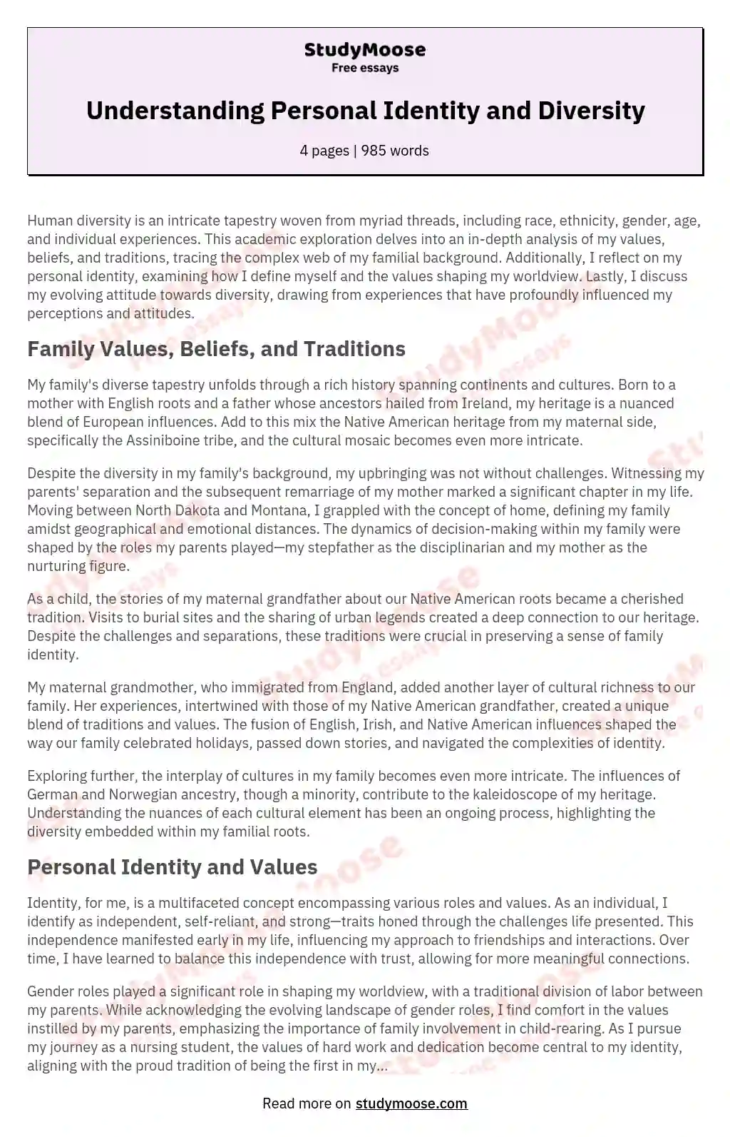 Understanding Personal Identity And Diversity Free Essay Example