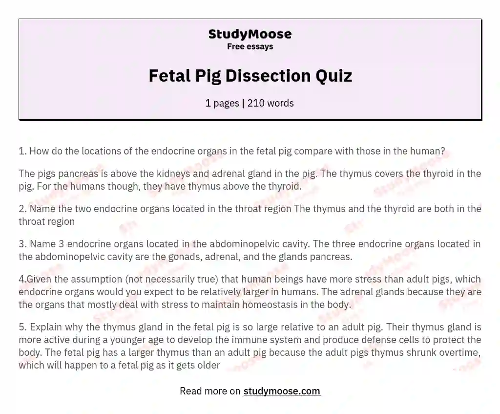 Fetal Pig Dissection Quiz Free Essay Example