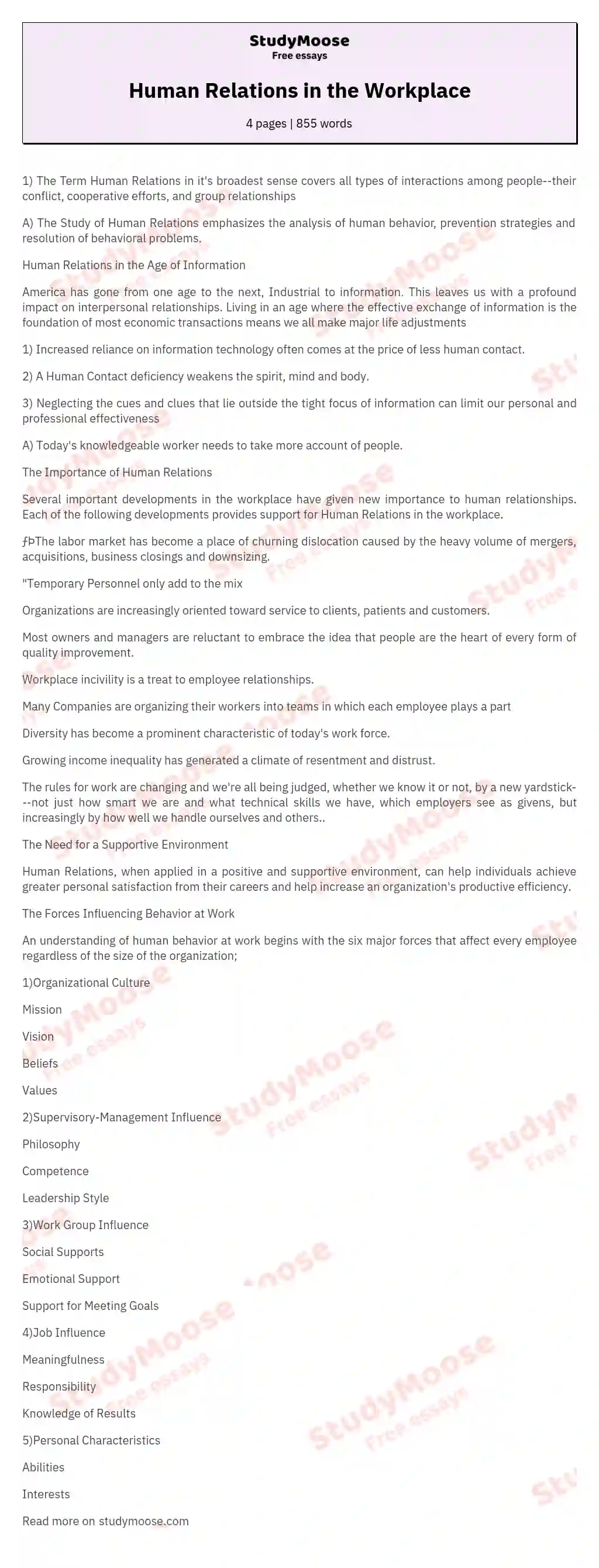 Human Relations In The Workplace Free Essay Example