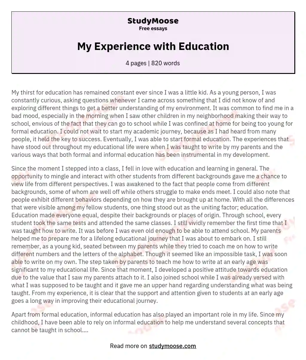 My Experience With Education Free Essay Example