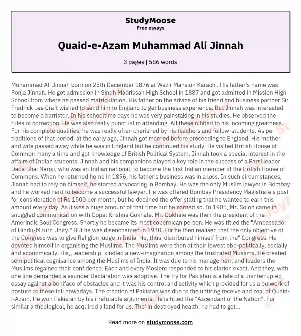 Essay On Our National Hero Quaid E Azam Sitedoct