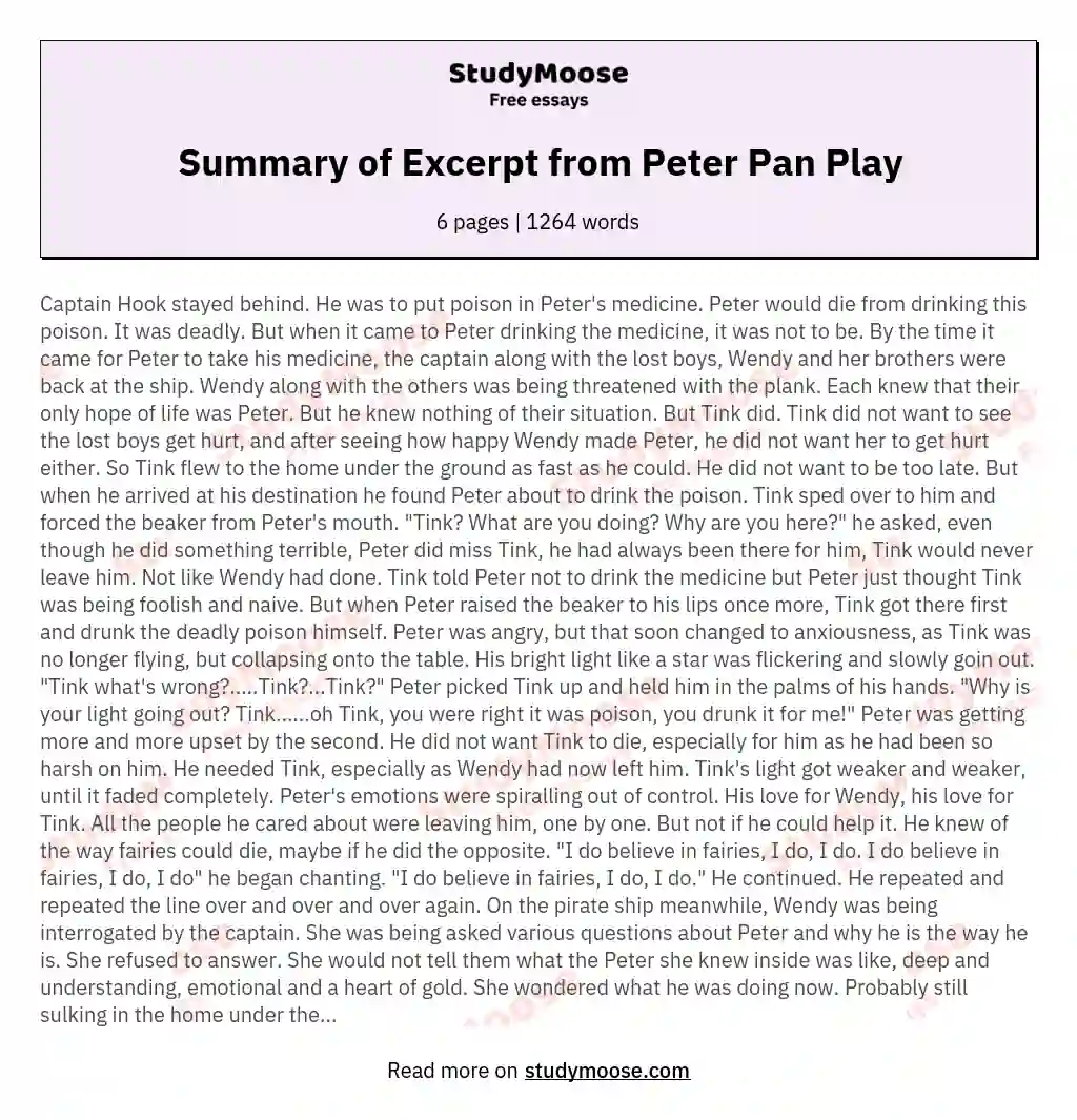 Summary Of Excerpt From Peter Pan Play Free Essay Example
