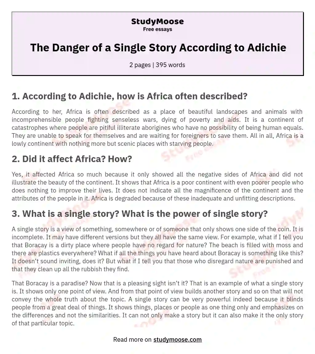 The Danger Of A Single Story Essay Examples | Sitedoct.org