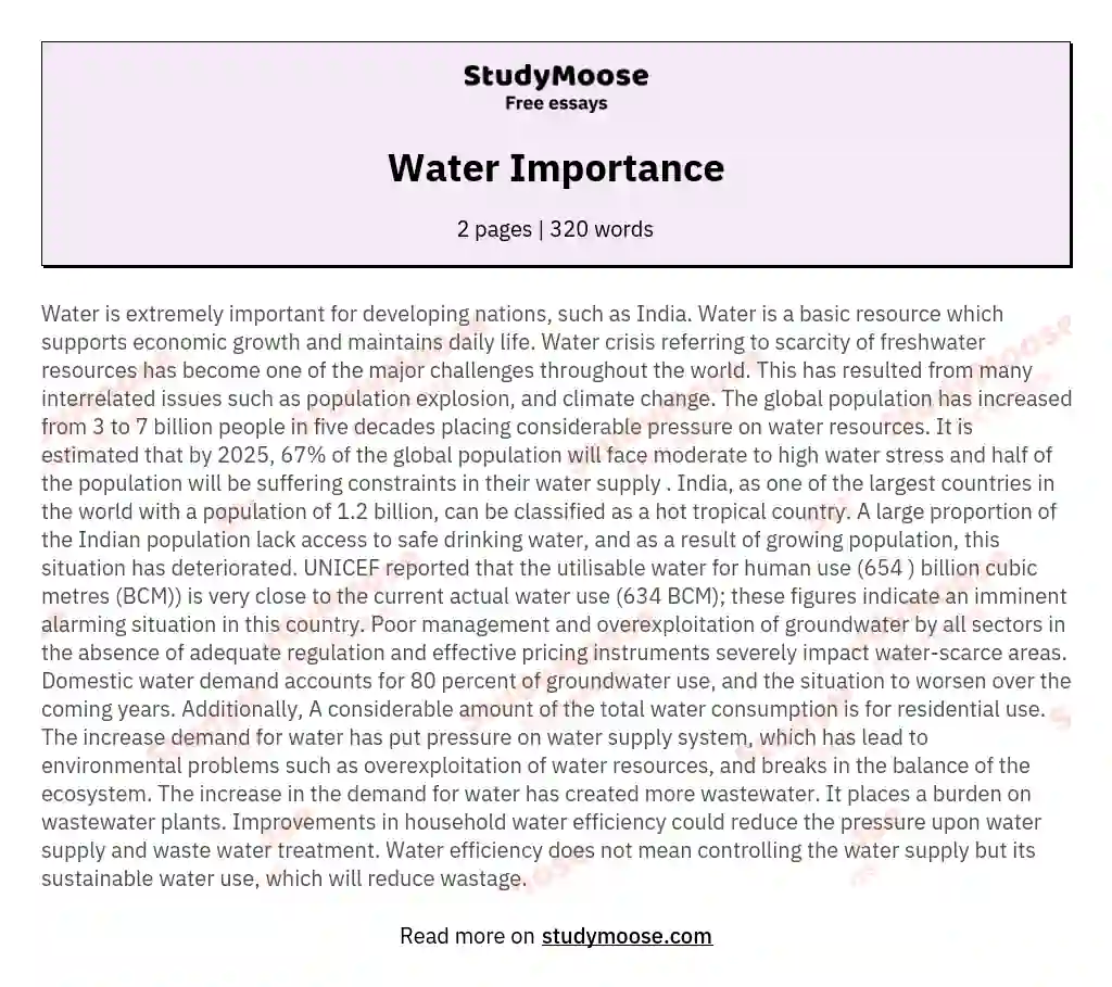 Water Importance Free Essay Example