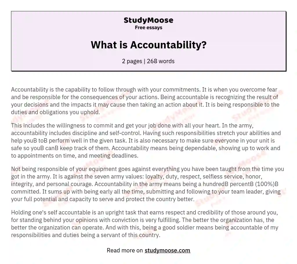 What Is Accountability Free Essay Example