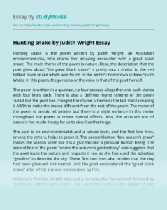 Essays on "The Hunting Snake" - Book Summary & Free Paper Examples