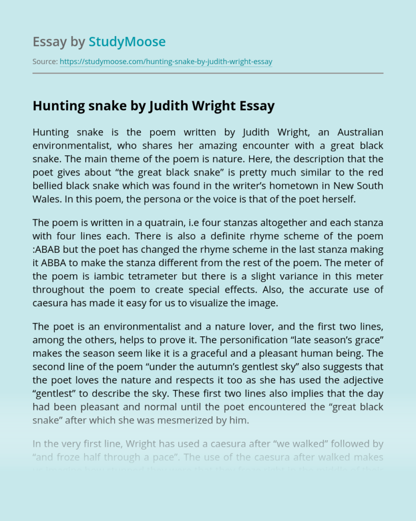 Essays on "The Hunting Snake" - Book Summary & Free Paper Examples