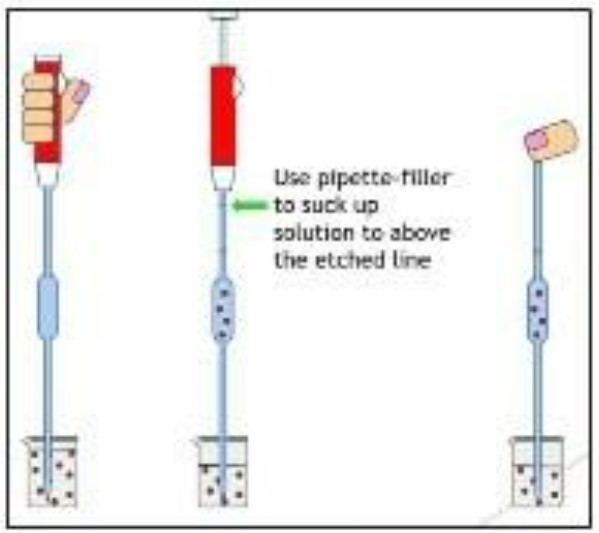 Manipulation of Basic Measurement Equipment in the Chemistry Lab ...