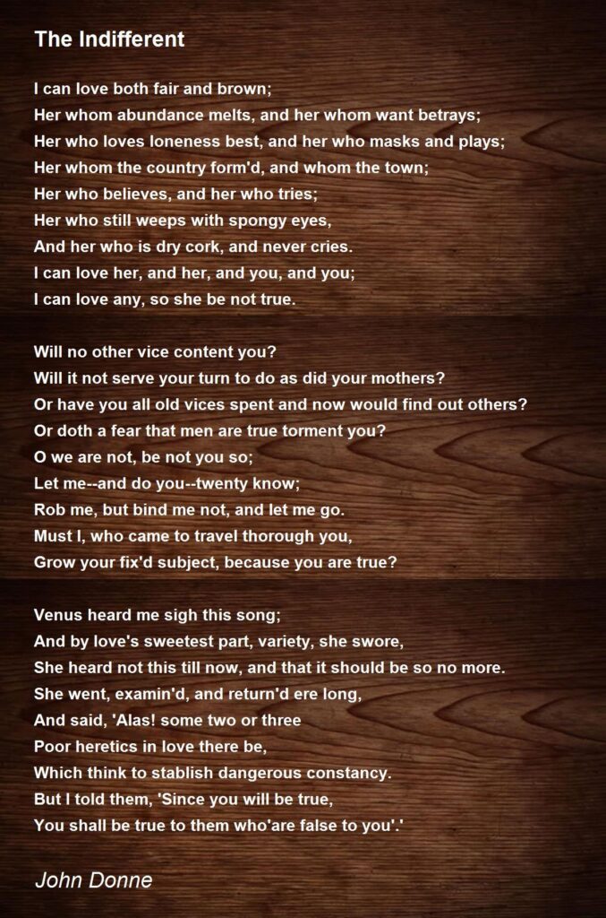 Essays on "The Indifferent" - Book Summary & Free Paper Examples